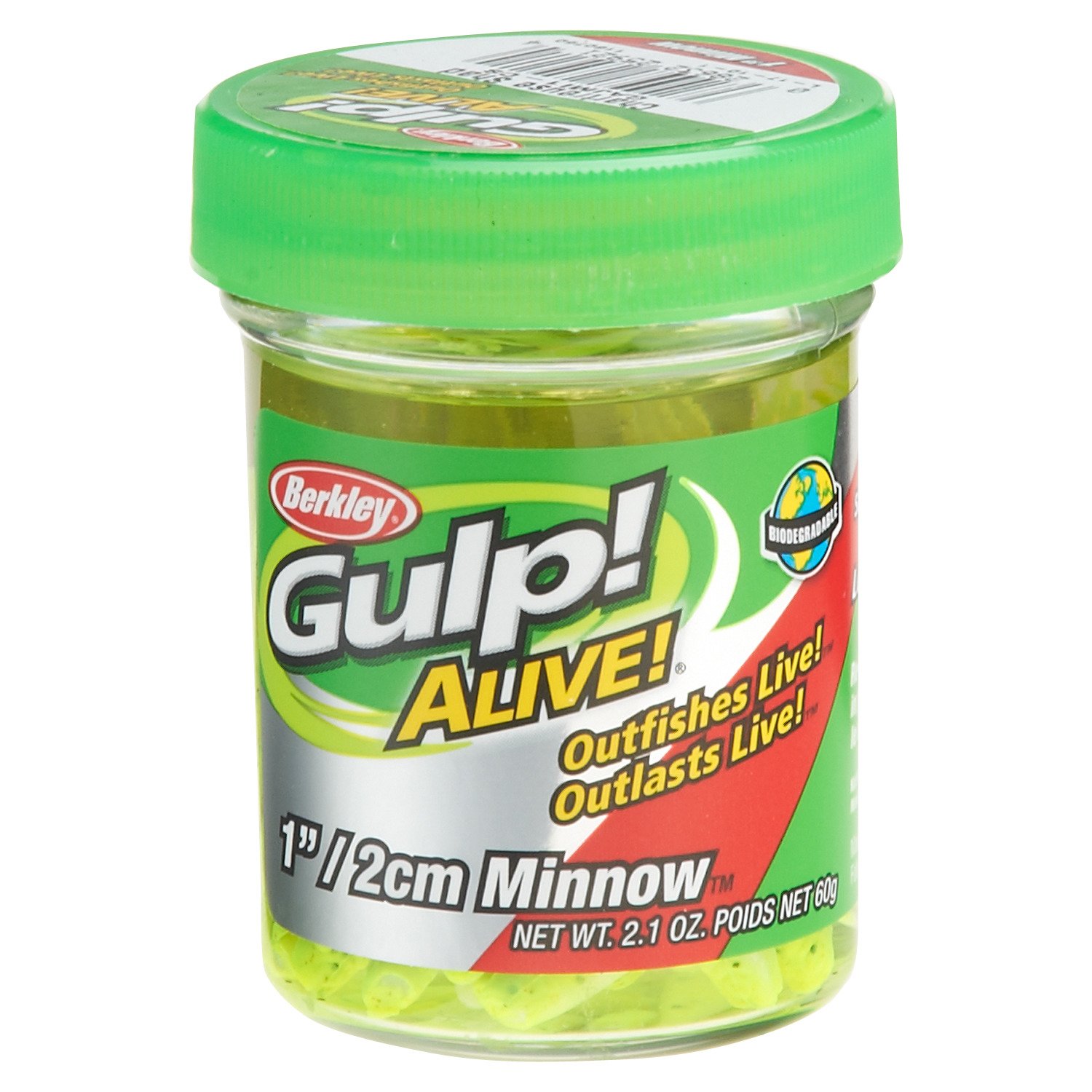 Berkley® Gulp!® Alive!™ 1" Minnow Jar | Academy