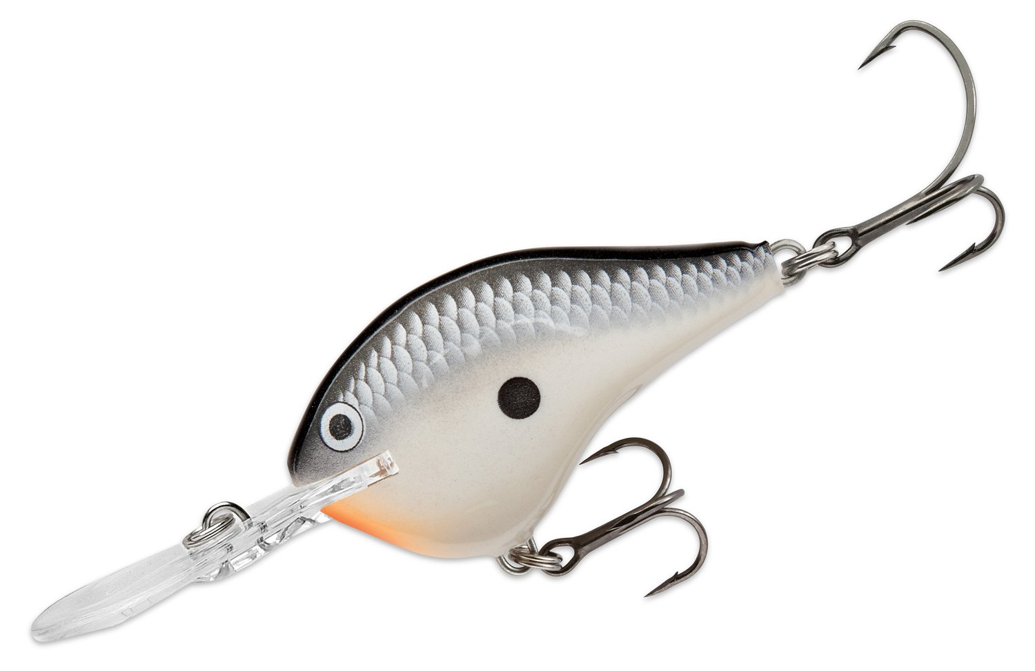 Rapala® DT® Series DT10 Crankbait | Academy