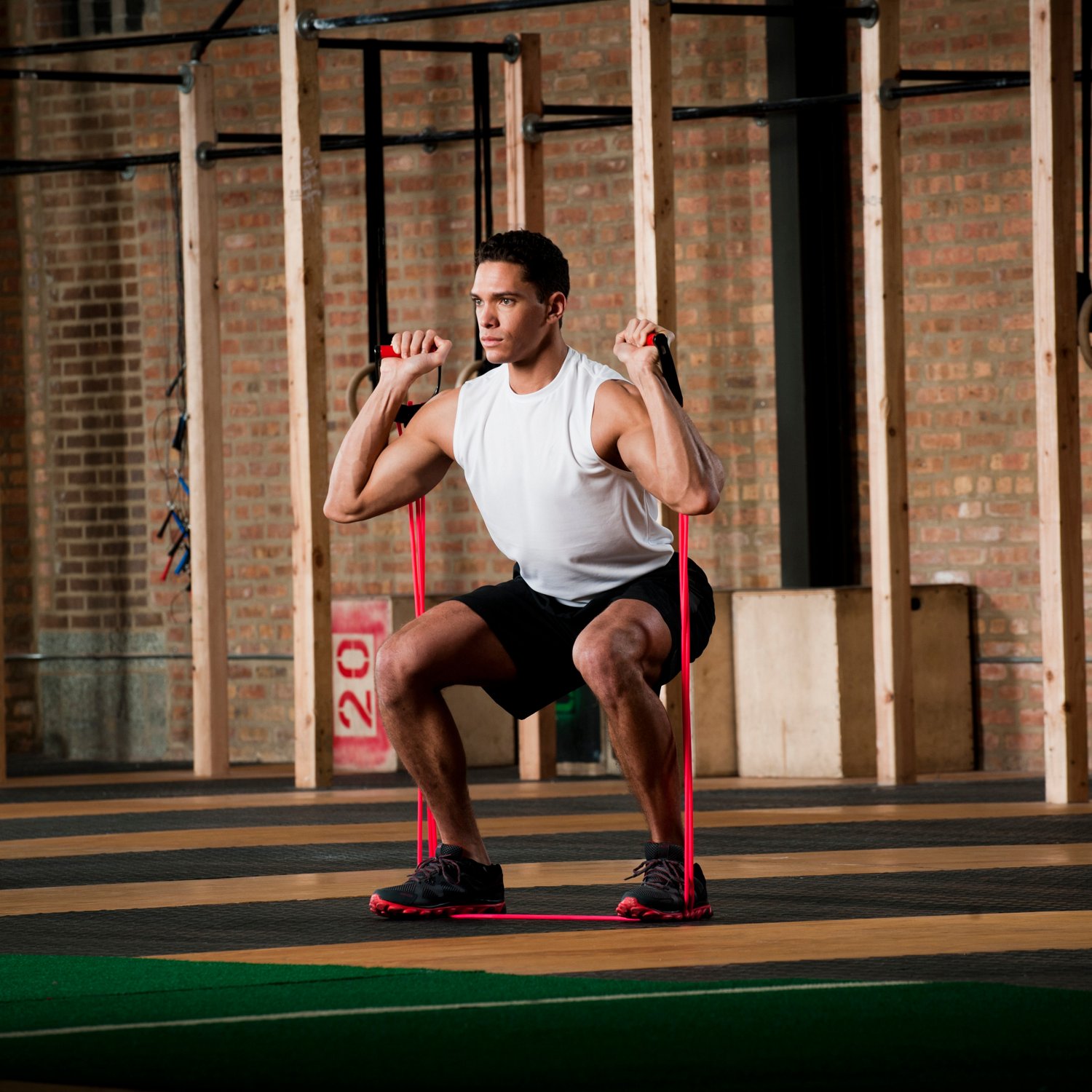 Lifeline TNT Cable System | Free Shipping at Academy