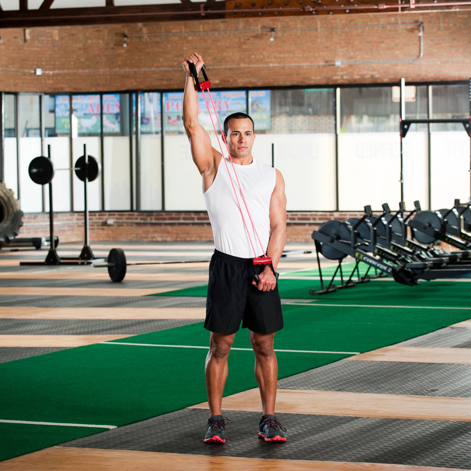 Lifeline Chest Expander Resistance Cables | Academy