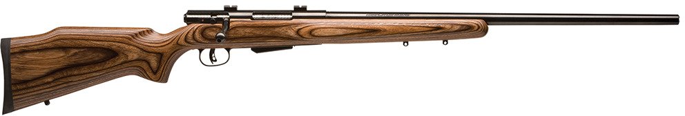 Savage Arms Lightweight Varminter 25 .204 Ruger Bolt-Action Rifle | Academy