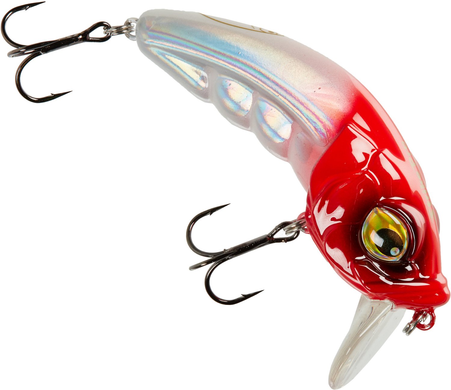 Strike Pro Hunchback 3-1/8 in Fishing Lure | Academy