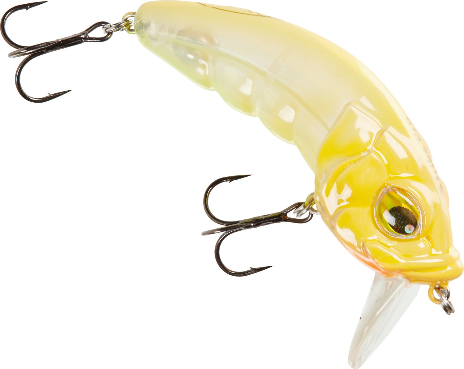 Strike Pro Hunchback 3-1/8 in Fishing Lure | Academy