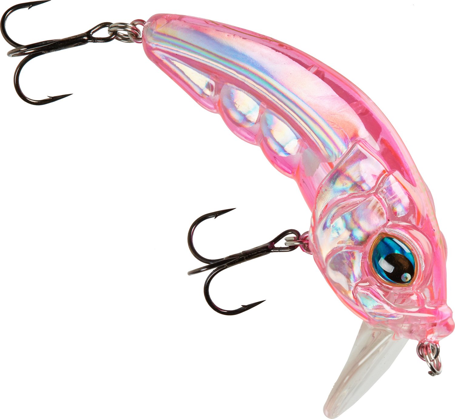 Strike Pro Hunchback 3-1/8 in Fishing Lure | Academy