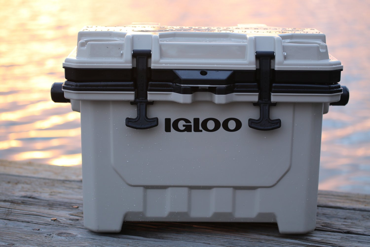 Igloo Imx 24 Qt Cooler Academy