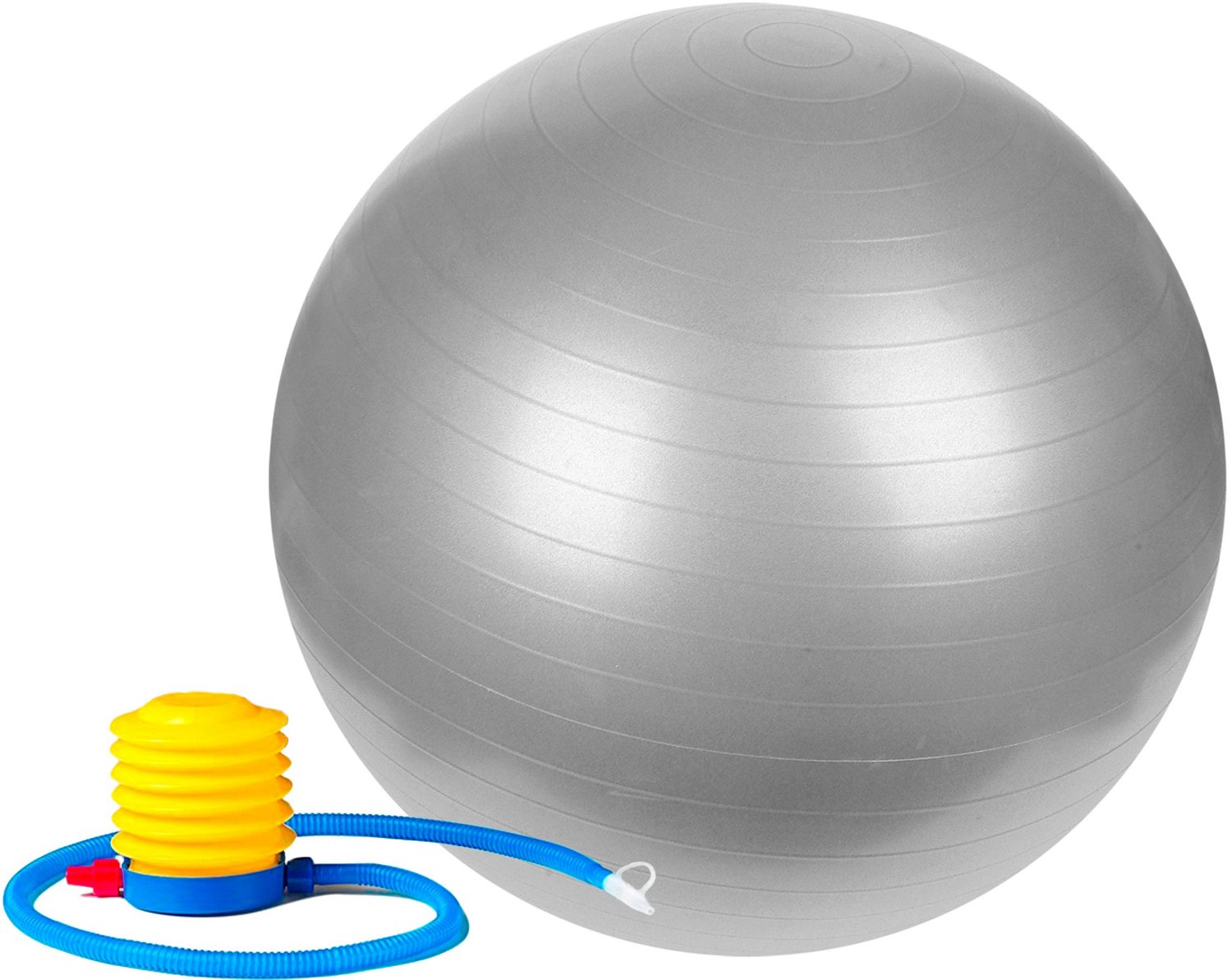Sunny Health & Fitness 65 cm Antiburst Gym Ball | Academy