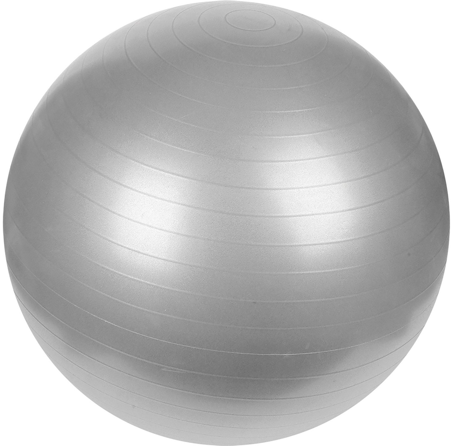 Sunny Health & Fitness 65 cm Antiburst Gym Ball | Academy