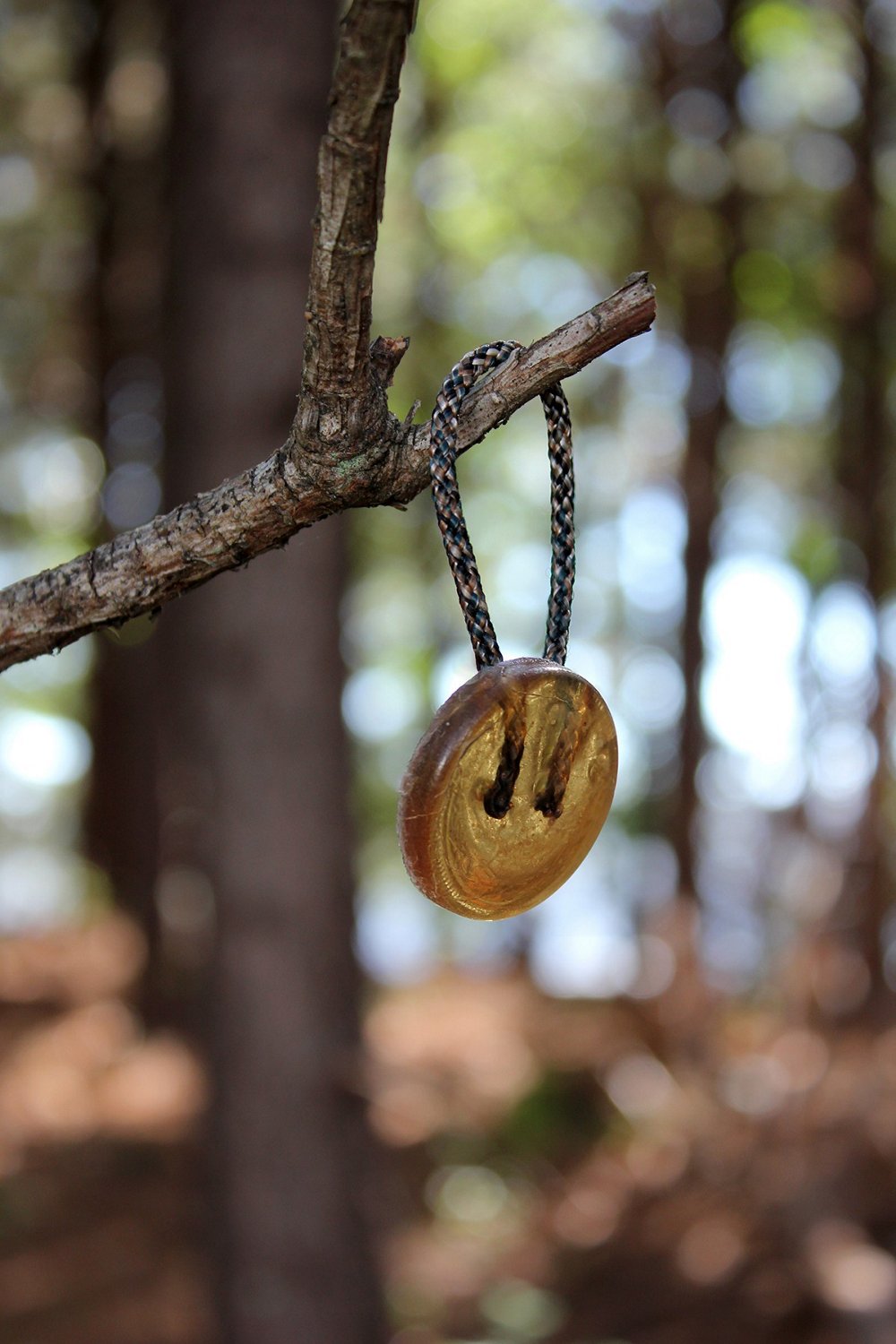 Tink's #69 Doe-in-Rut Natural Urine Buck Pucks 3-Pack | Academy