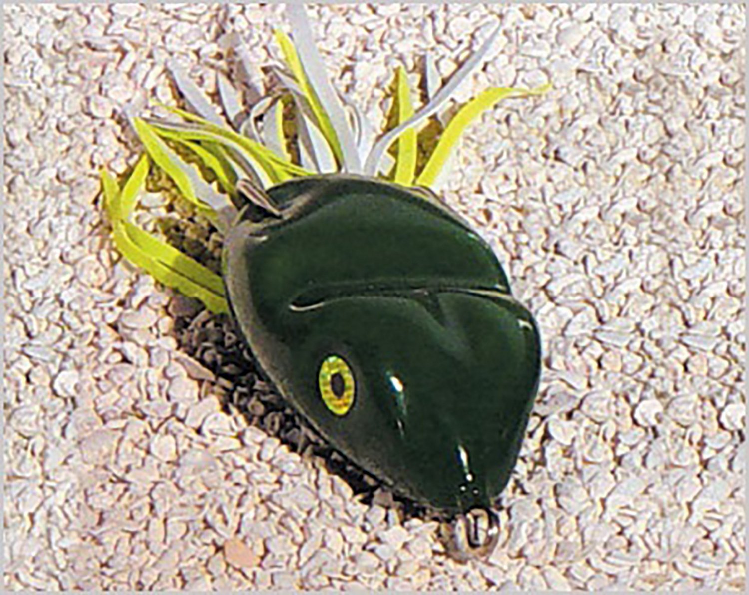 SCUM FROG Soft Bait | Academy