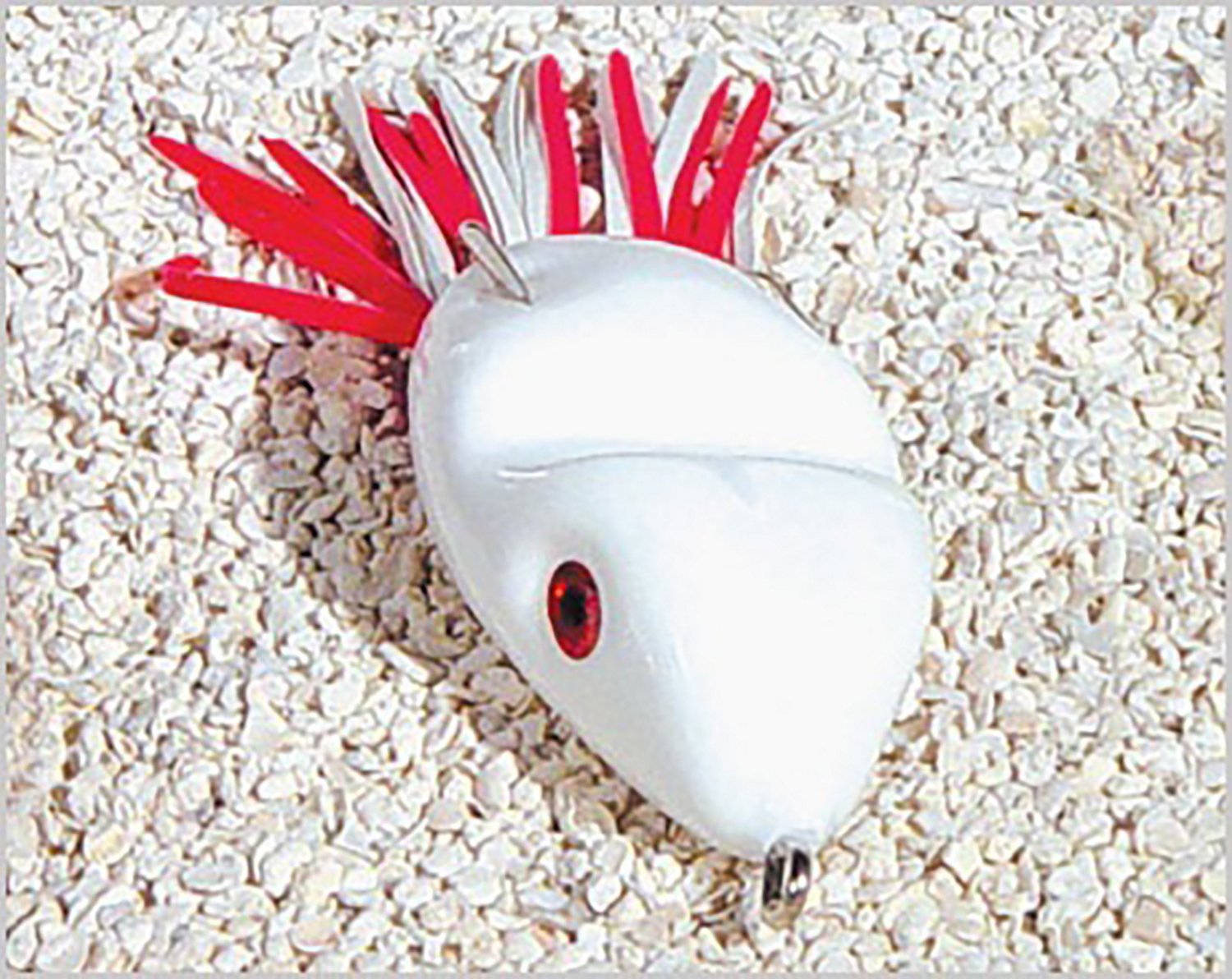 SCUM FROG Soft Bait | Academy