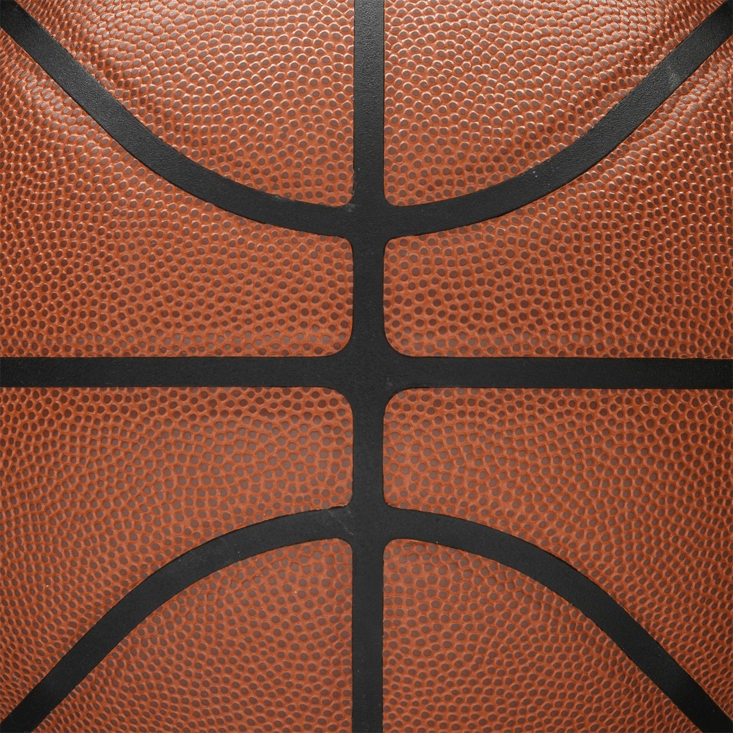 Wilson NBA Forge Pro Basketball | Free Shipping at Academy