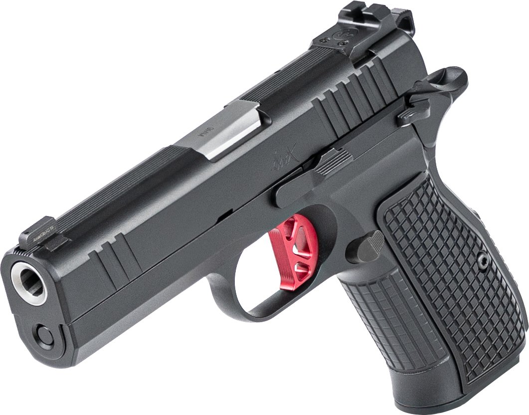 Dan Wesson DWX Compact 9mm Luger 15+1 Pistol | Academy
