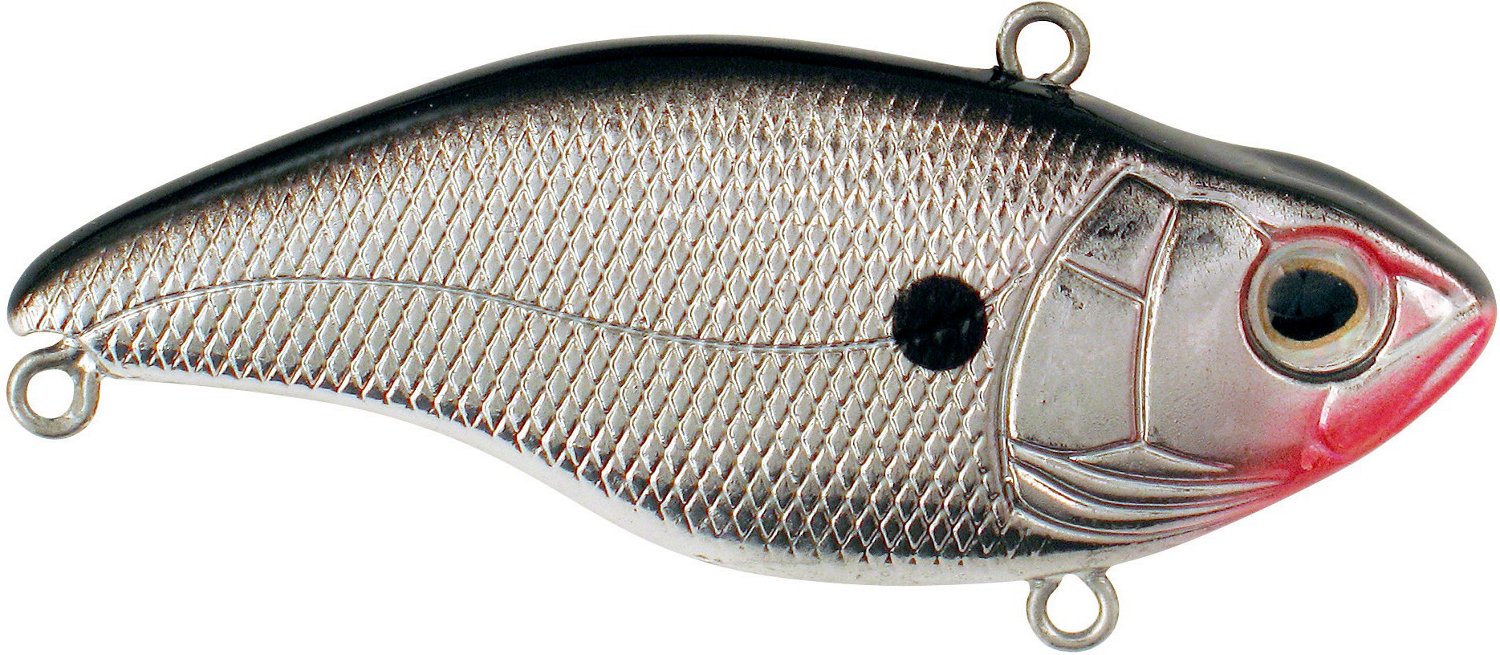 SPRO Essential Series Aruku Shad Bait | Academy