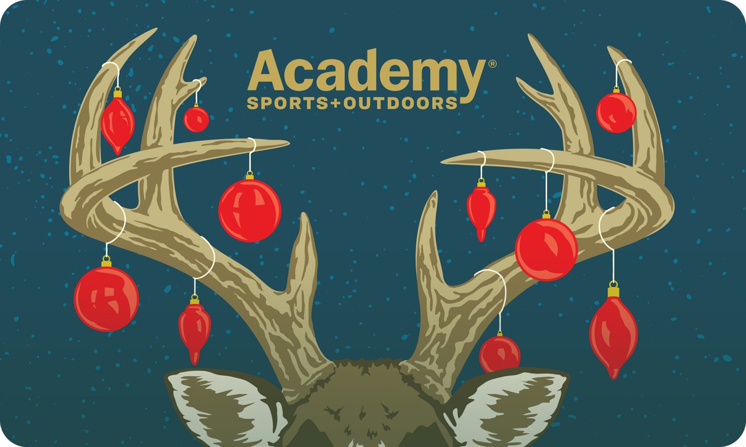 Gift Cards | Academy Sports Gift Cards, Holiday Gift Cards | Academy