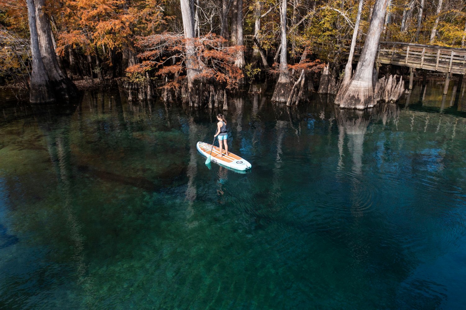 BOTE Board WULF Aero Native Floral Inflatable SUP Paddleboard | Academy