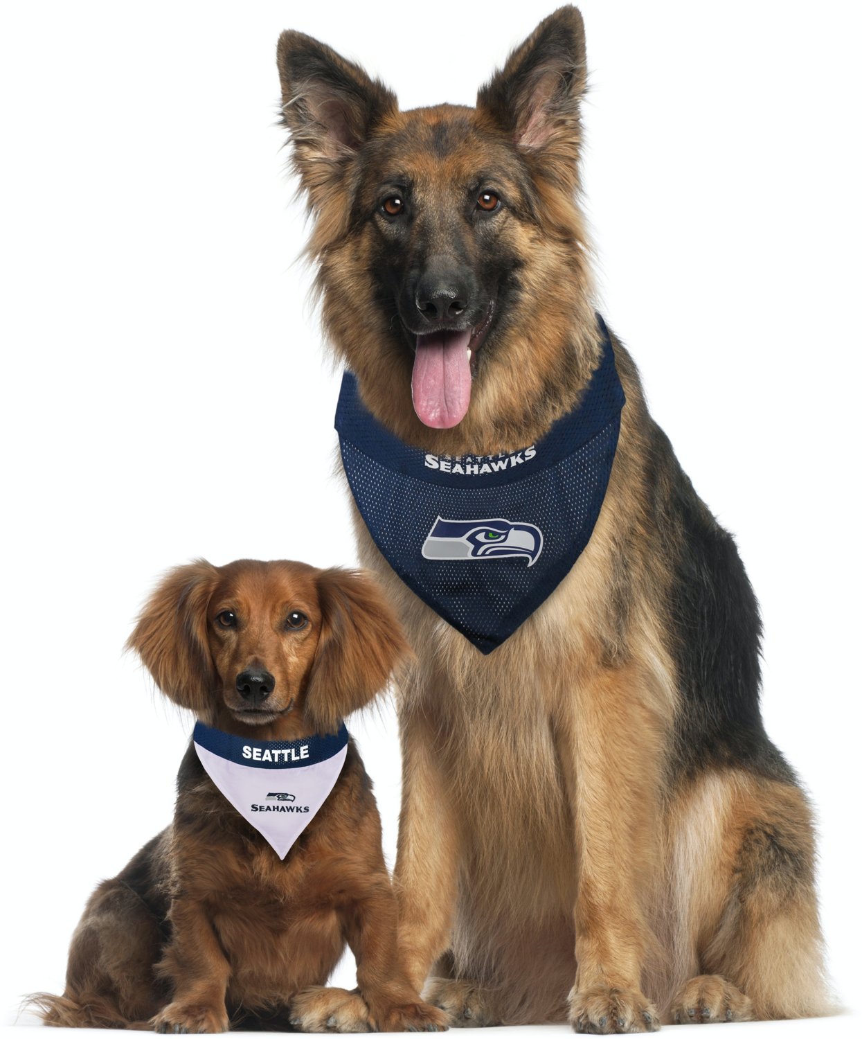 Pets First Seattle Seahawks Reversible Dog Bandana | Academy