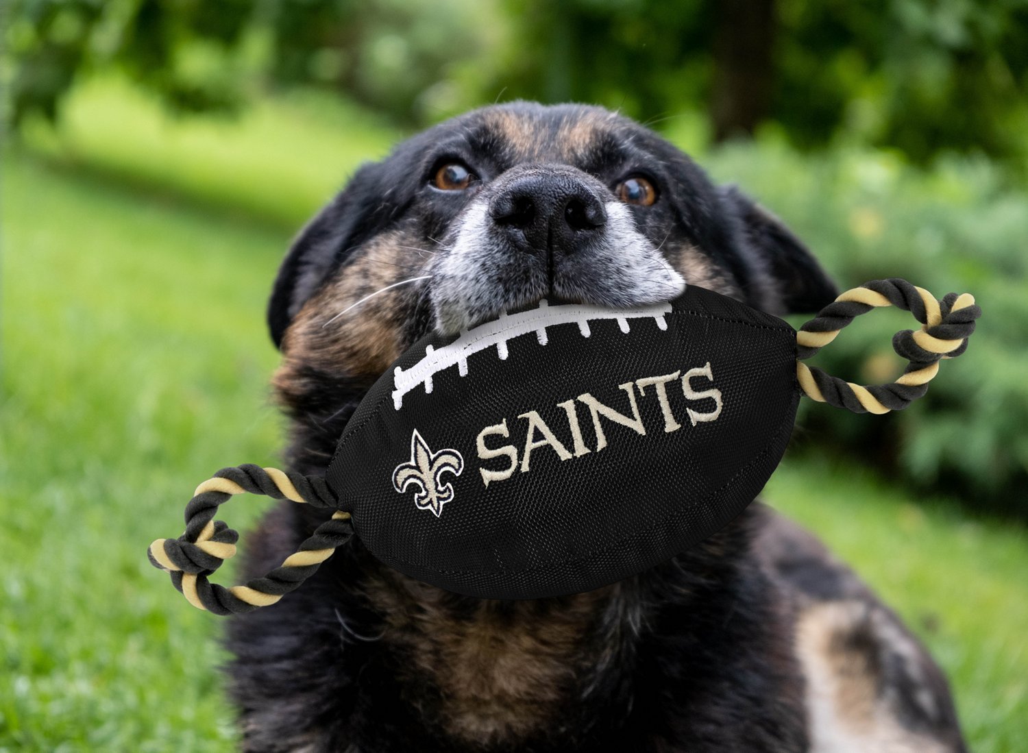 Pets First New Orleans Saints Nylon Football Rope Dog Toy | Academy