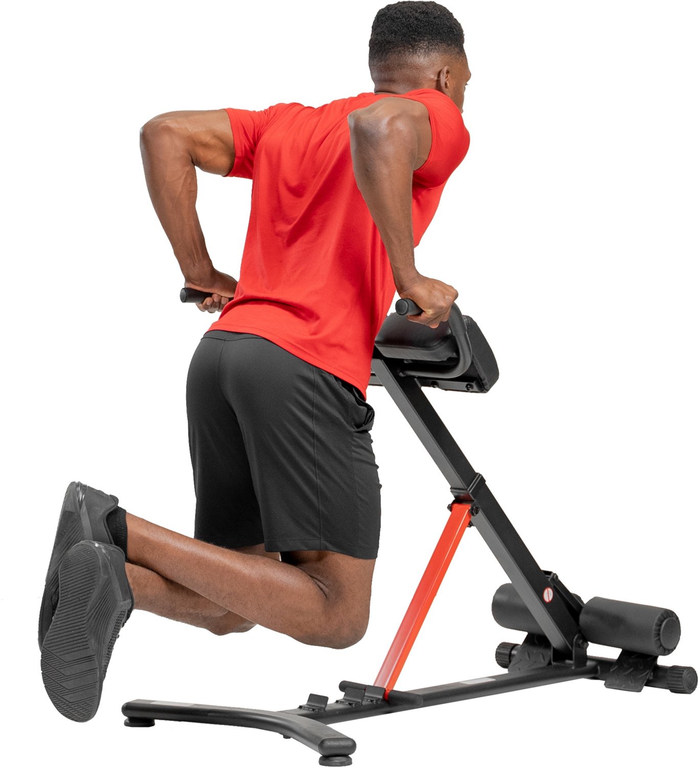 Sunny Health & Fitness Hyperextension Roman Chair with Dip Station ...