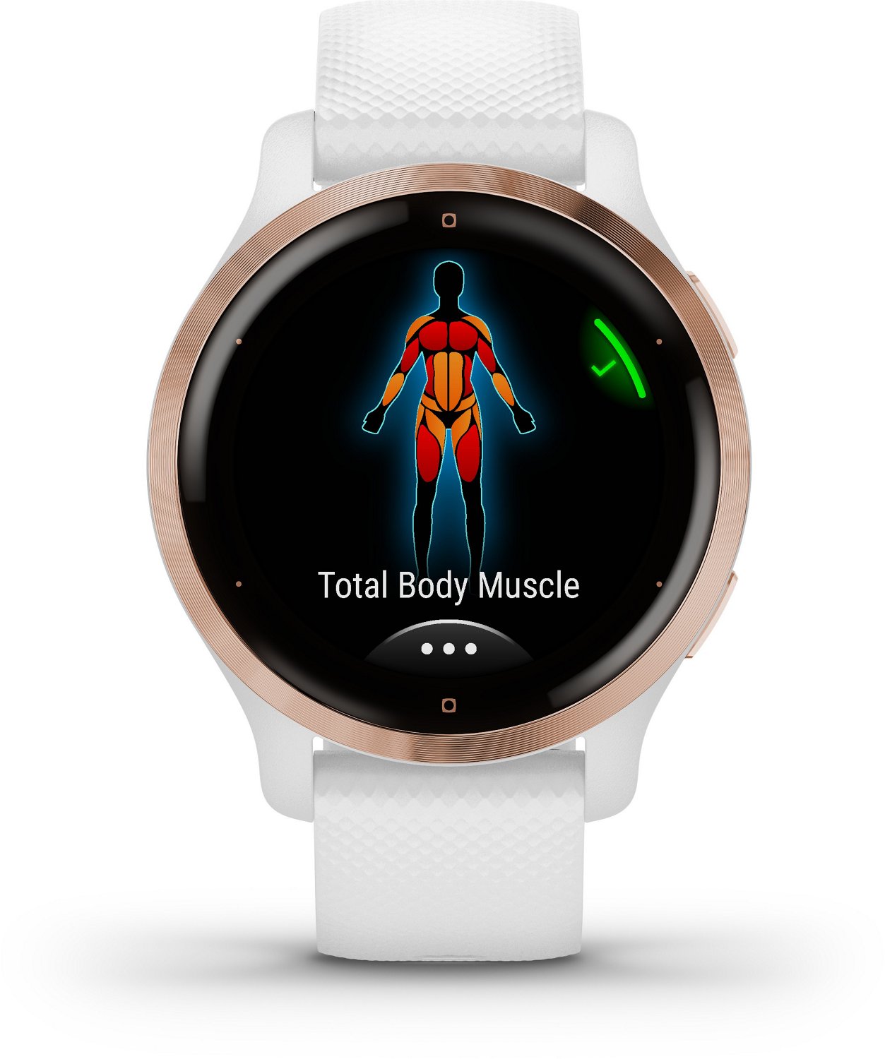 Garmin Venu 2S Watch | Free Shipping at Academy