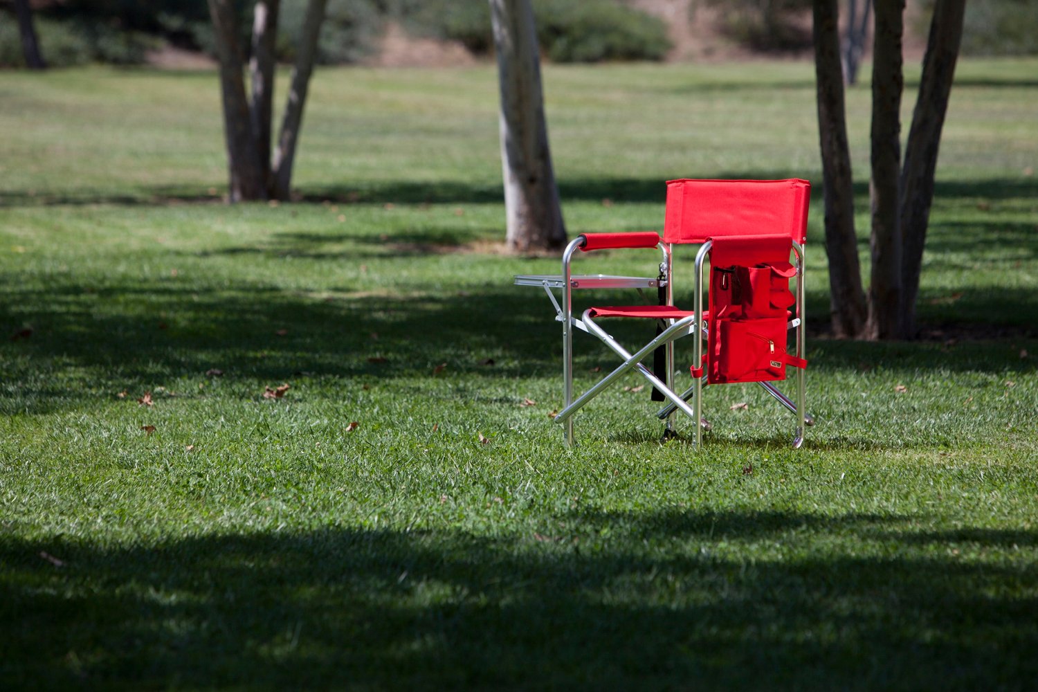 Picnic Time Sports Chair | Academy