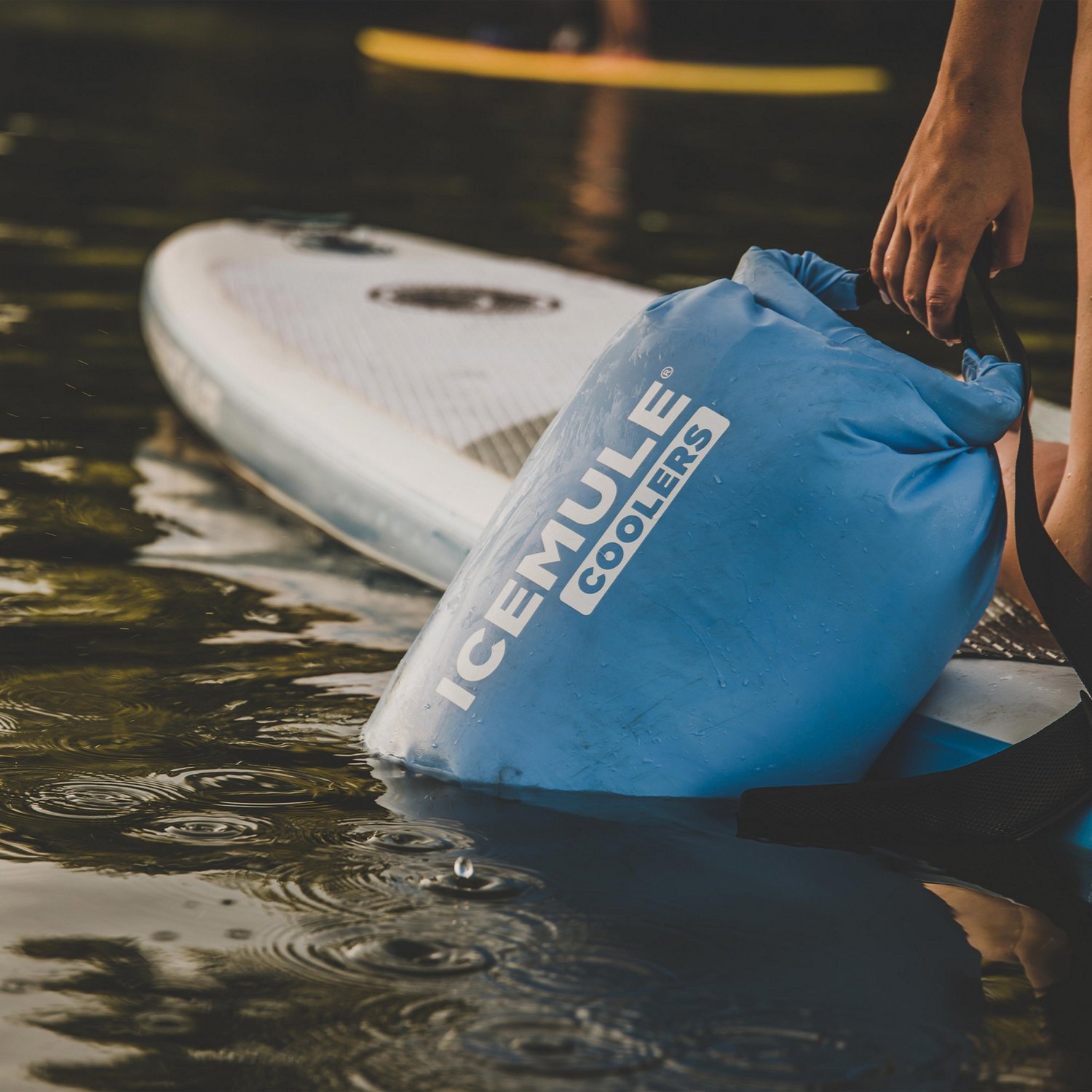 ICEMULE Classic Medium Cooler | Academy