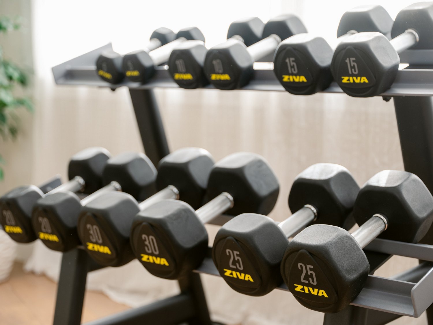 ZIVA Hexagon Weight Lifting Dumbbell Pair | Academy