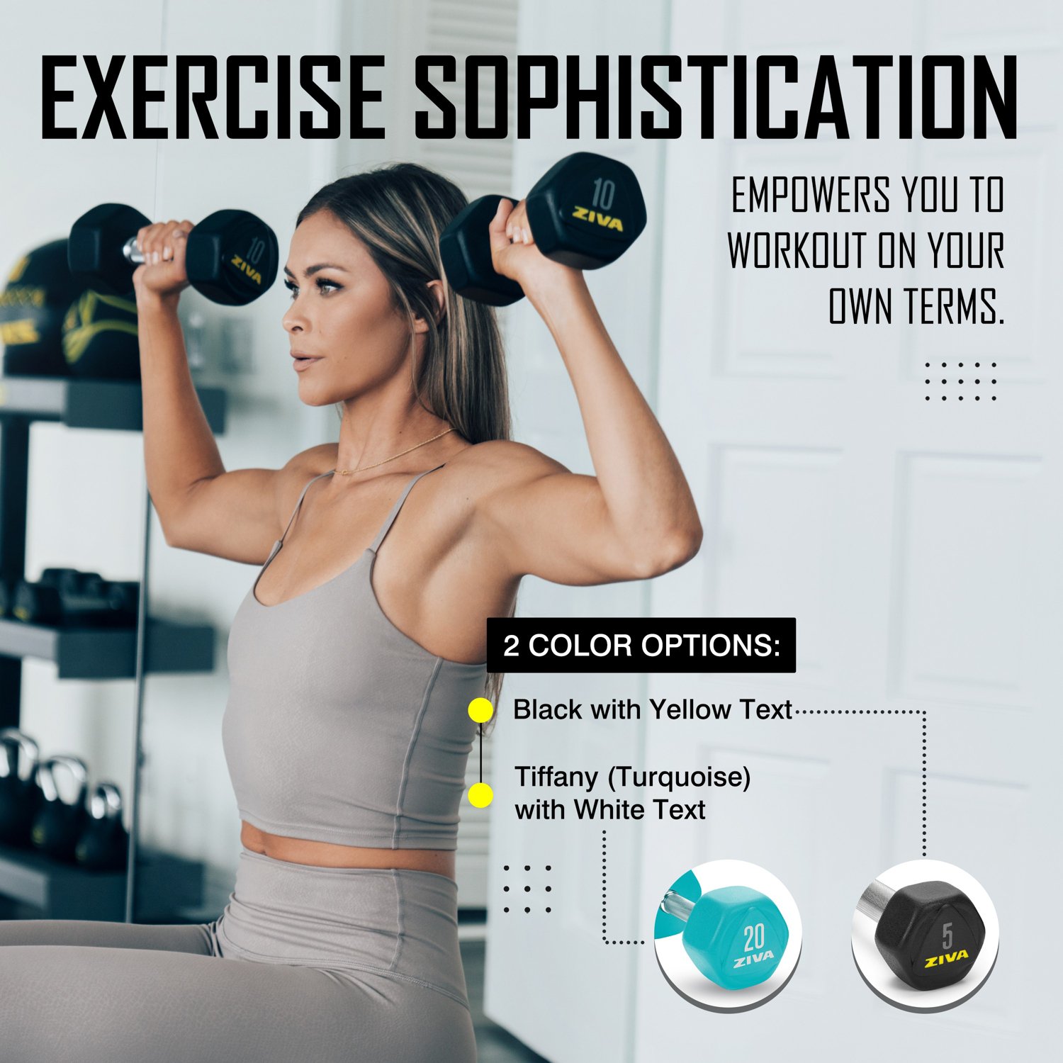 ZIVA Hexagon Weight Lifting Dumbbell Pair | Academy