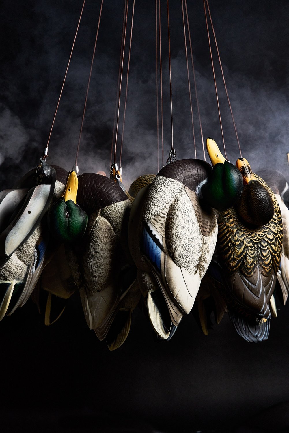 Lifetime Mallard HydroFoam Ultra-light Decoy 6-Pack | Academy