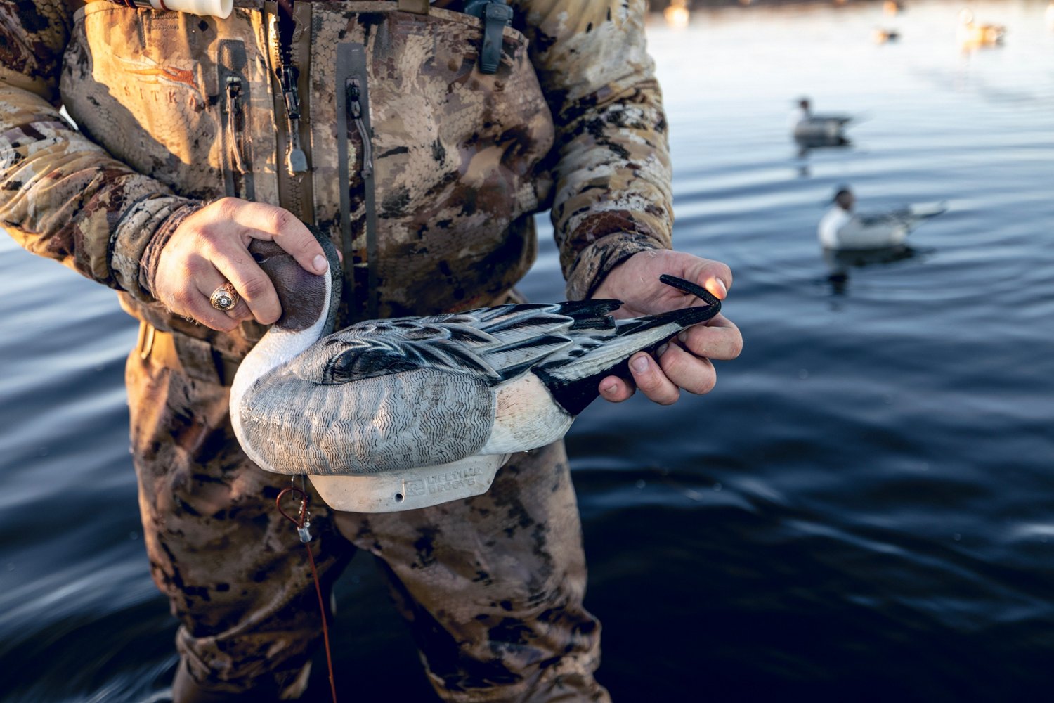 Lifetime Pintail HydroFoam Ultra-light Decoy 6-Pack | Academy