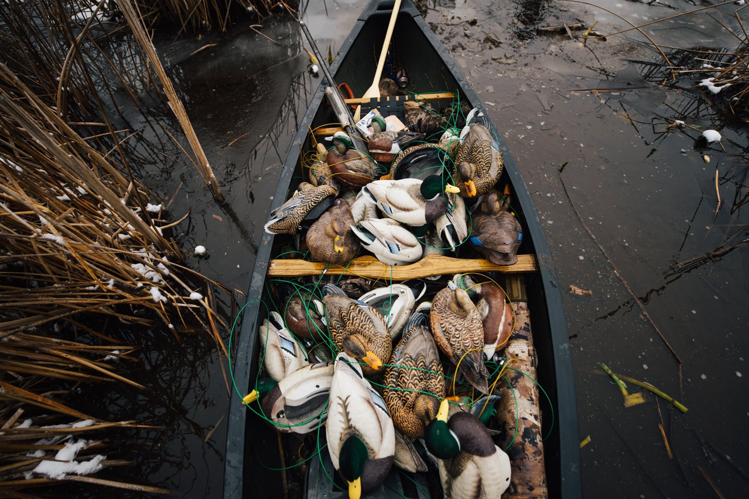 Lifetime Blue-Winged Teal HydroFoam Ultra-light Decoy 6-Pack | Academy