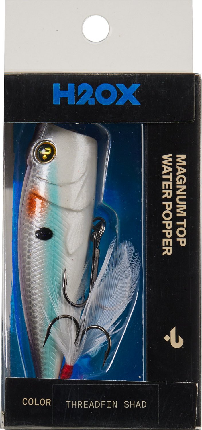 H2OX Mag Top Water Popper | Academy