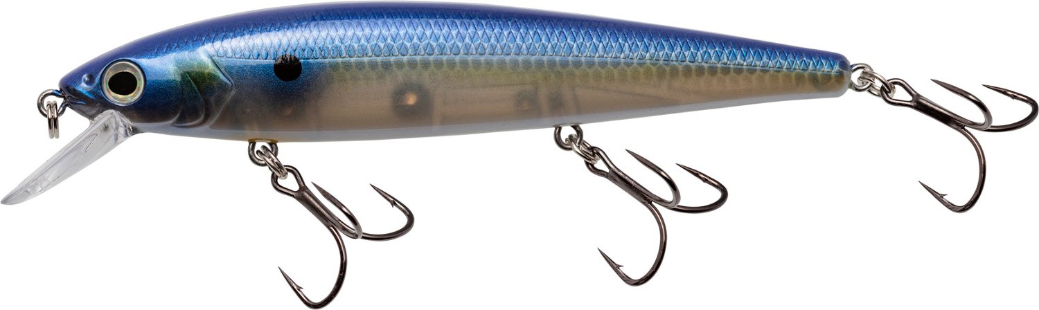 Strike King KVD Elite 4.75 in Suspending Jerk Bait 300 | Academy