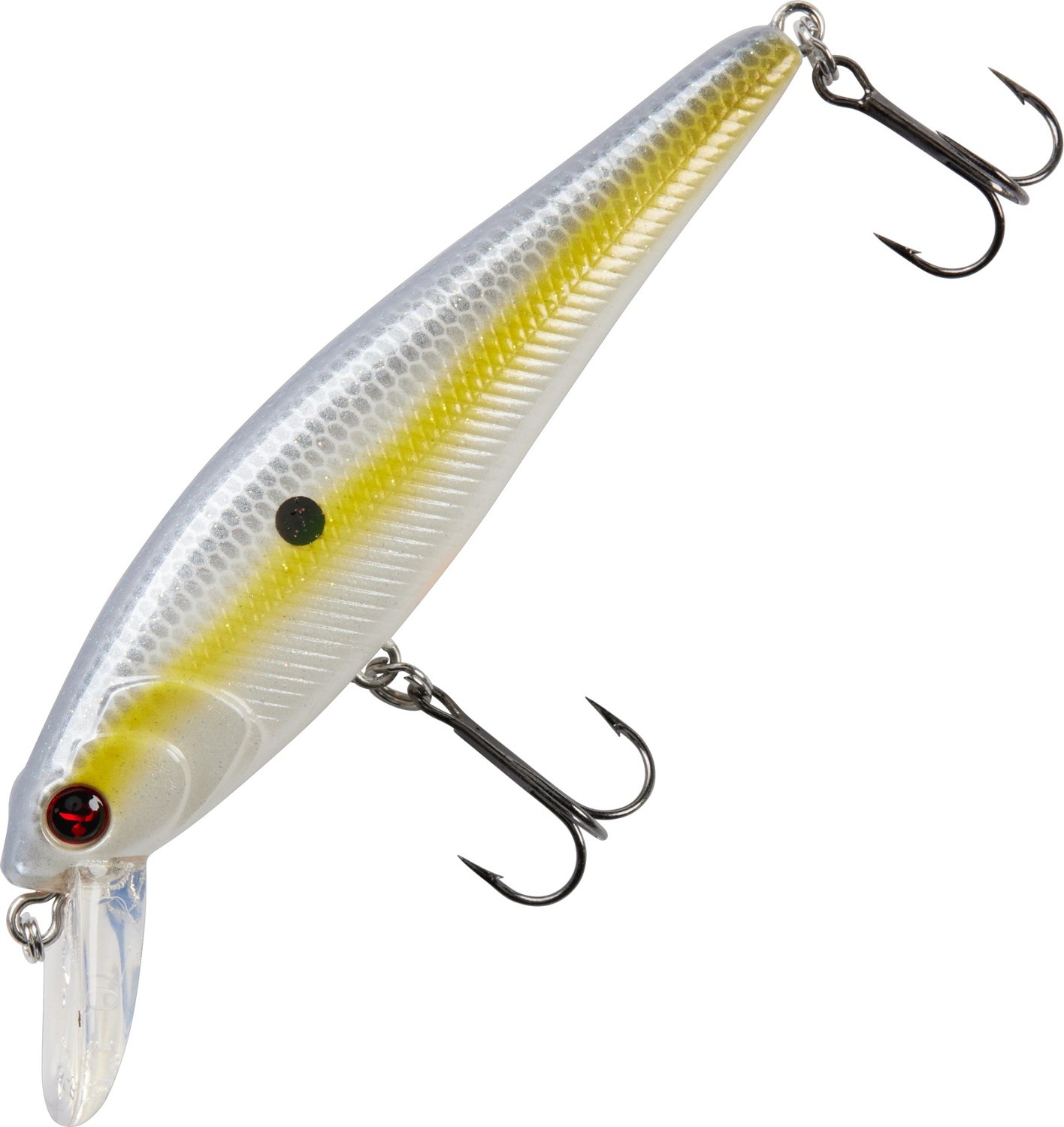 H2OX Premium Floating Jerk Shad Bait | Academy