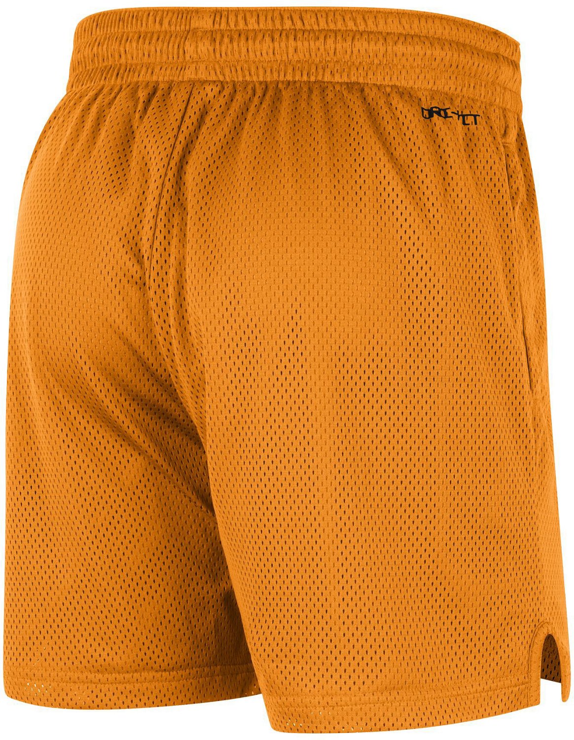 Nike Men's University of Tennessee Dri-FIT Shorts 10 | Hamilton Place