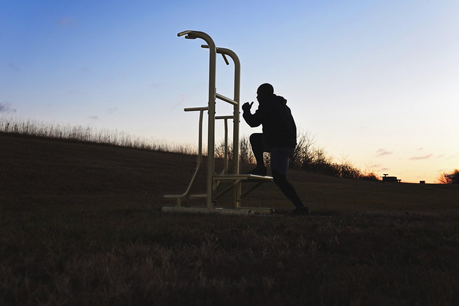 Stamina Pro Outdoor Power Tower | Academy