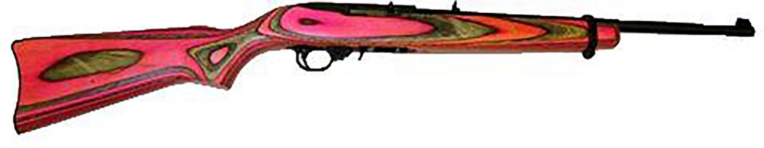 Ruger 10/22 Carbine .22 LR Semiautomatic Rifle | Hamilton Place