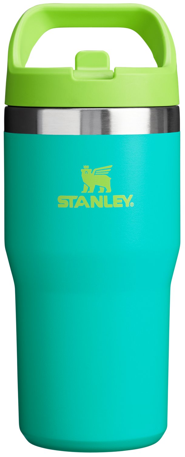 Stanley 20 oz. Go Flip Fixed Lid Straw Tumbler | Academy