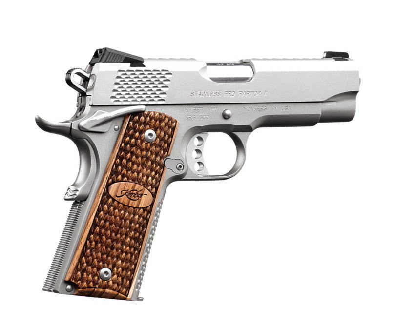 Kimber Stainless Pro Raptor II 9mm Pistol | Academy