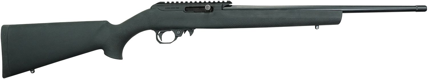 Black Rain Ordnance Sportsman .22 LR Semiautomatic Rifle | Academy