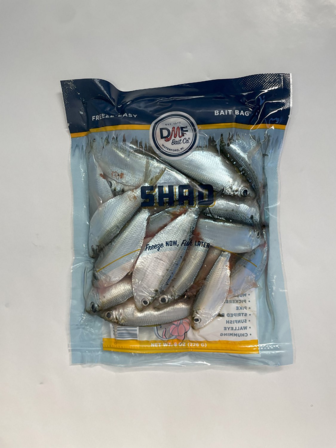 DMF Bait Shad 8 oz Frozen Bait | Academy