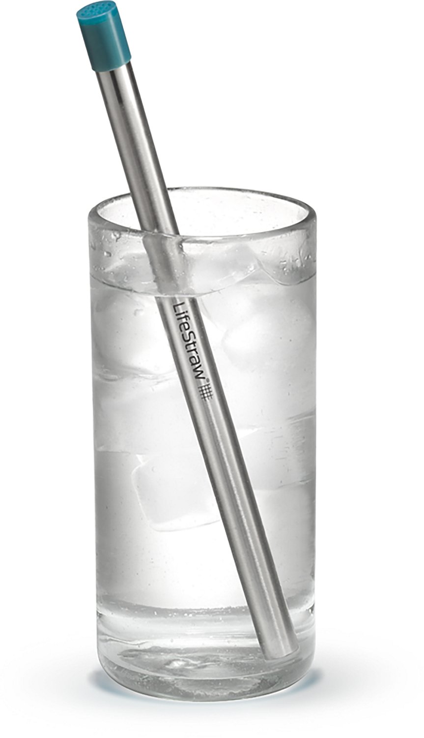 LifeStraw Sip Straw Filter with Carry Case | Academy