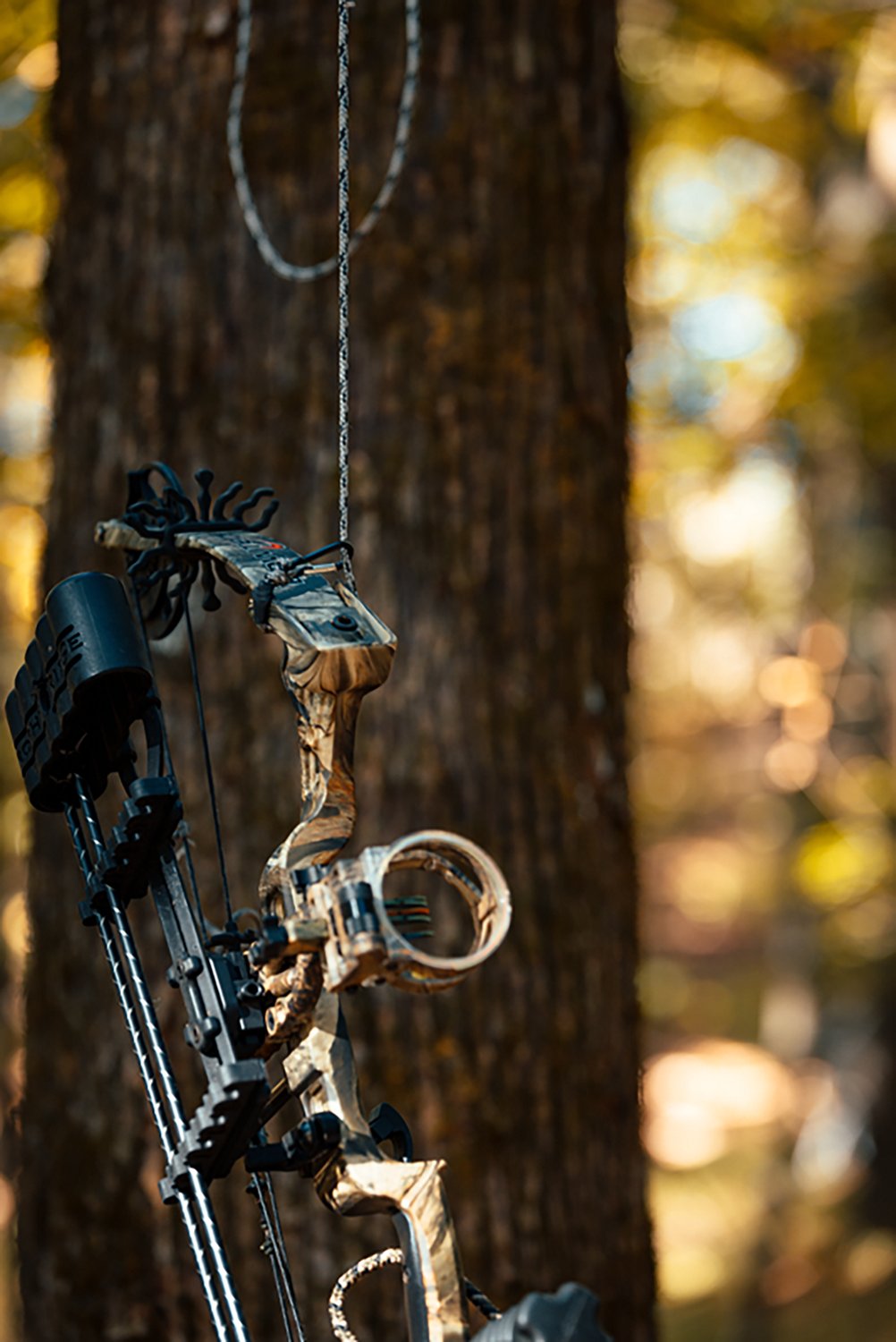 Summit Ultimate Bow Rope | Academy