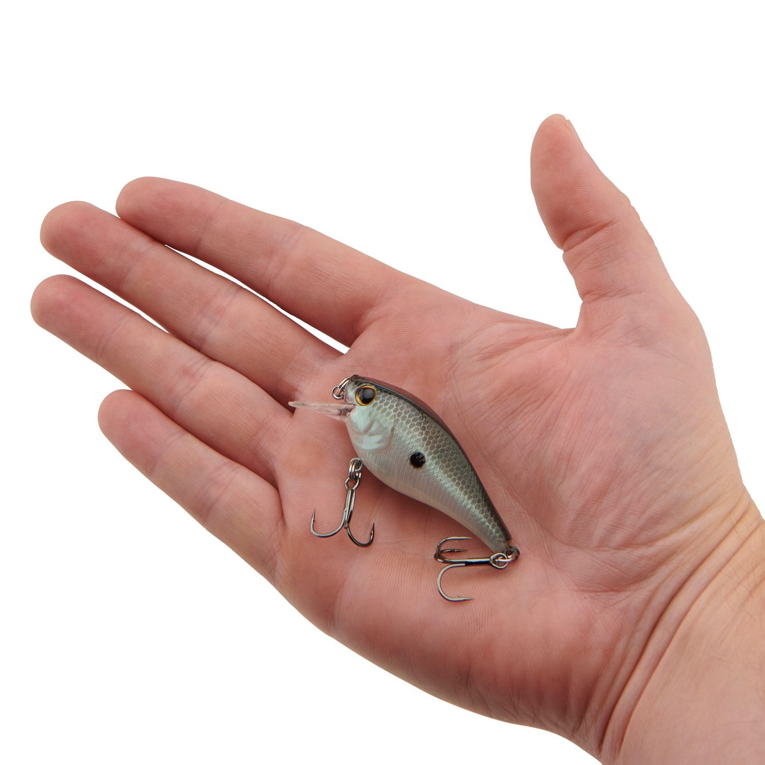 Berkley 1/4 oz SquareBull Bait | Academy