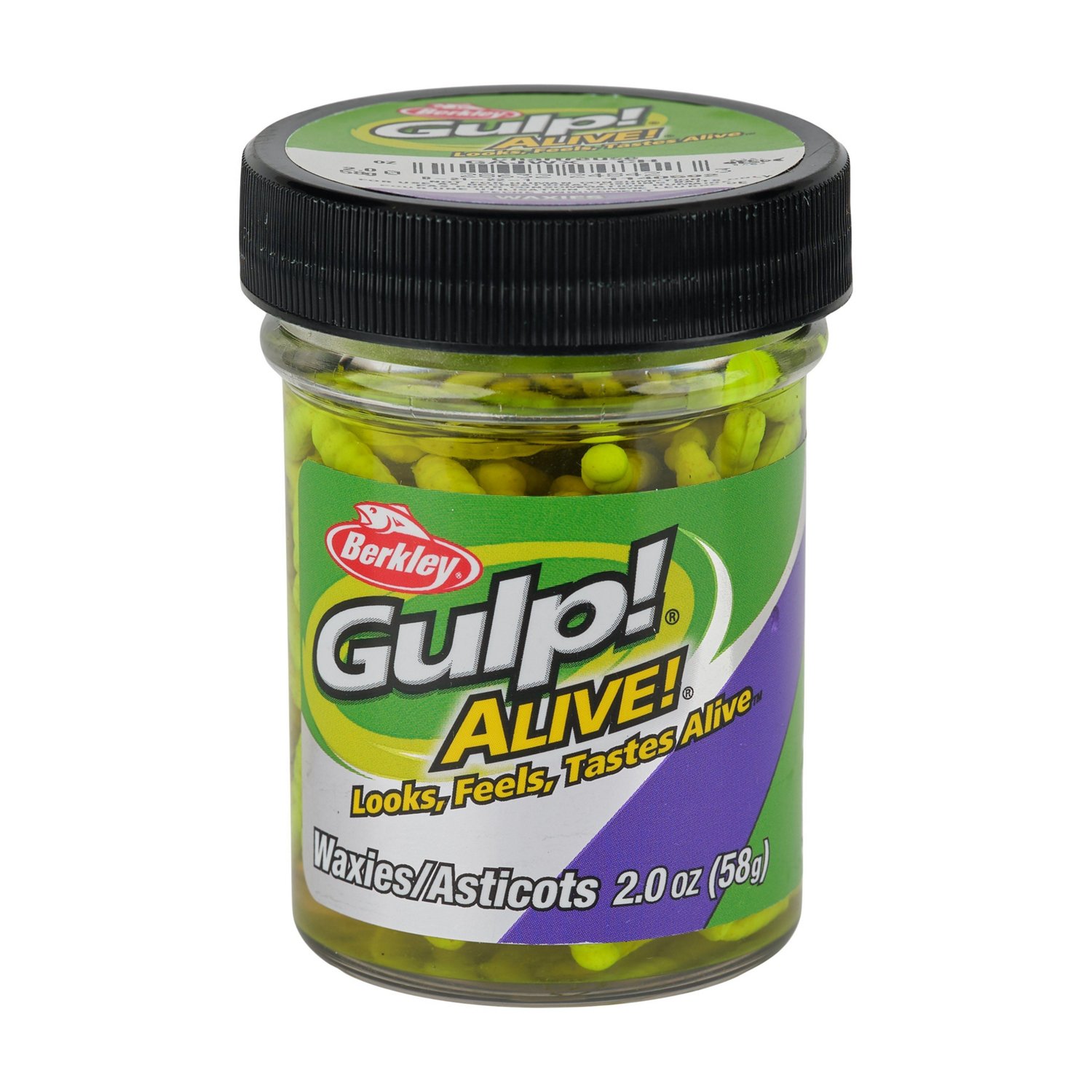 Berkley Gulp Alive 1/2 in Waxies Bait Jar | Academy