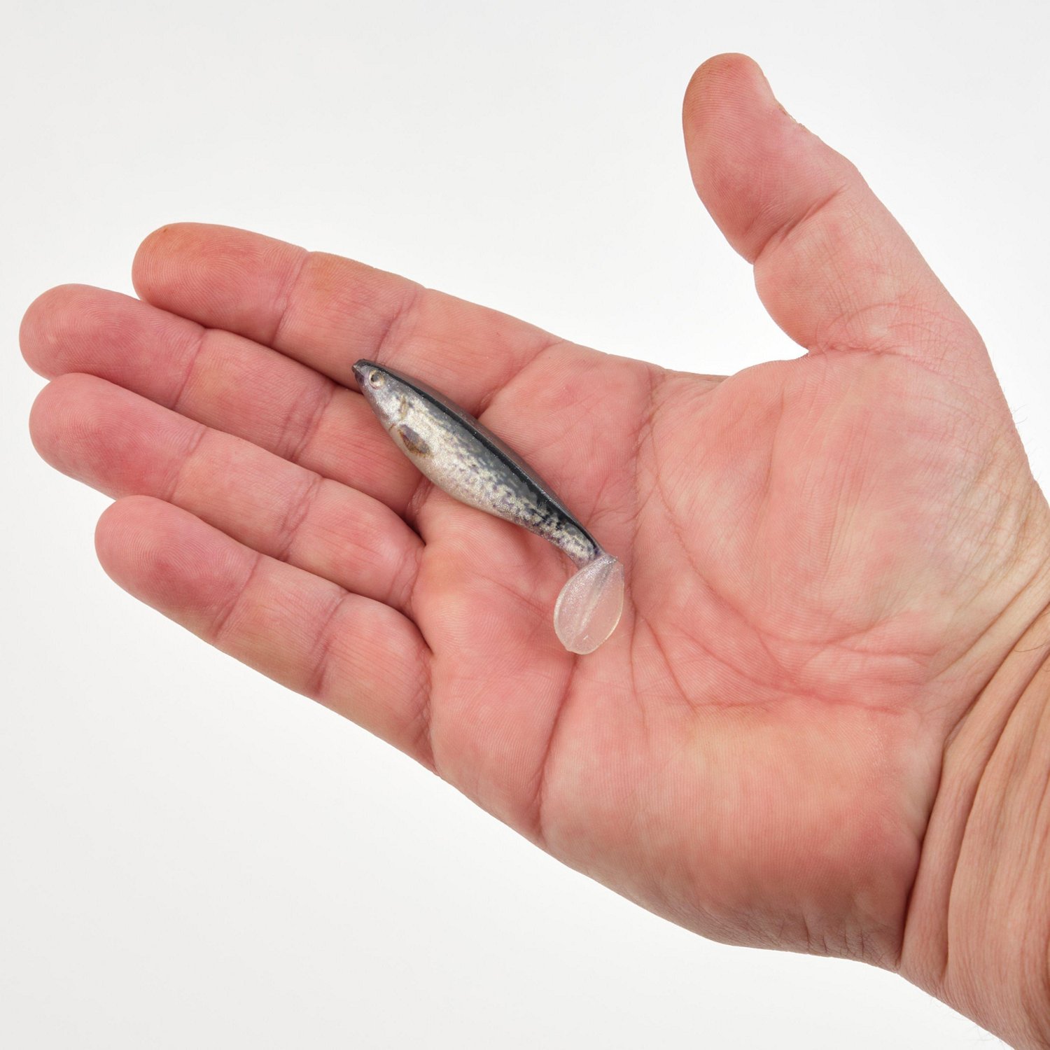 Berkley PowerBait The Champ Swimmer Baits 8-Pack | Academy