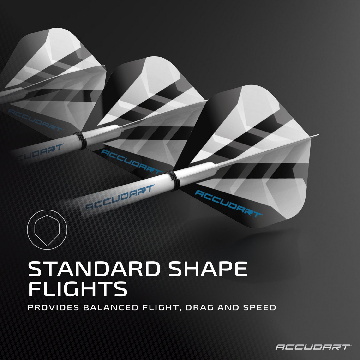 Accudart Steel Tip Dart Set 2.0 | Academy