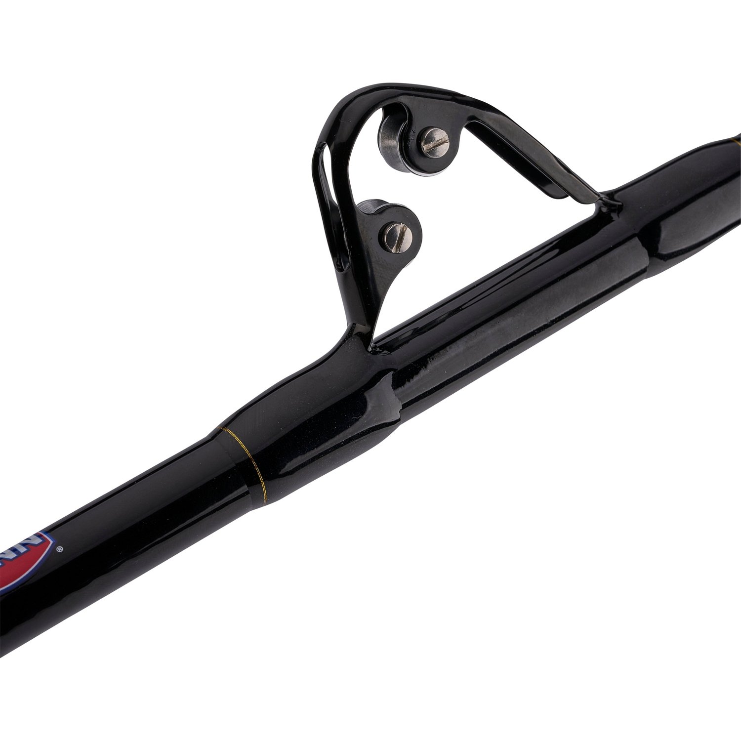 PENN Squall II 60 Lever Drag Combo | Academy