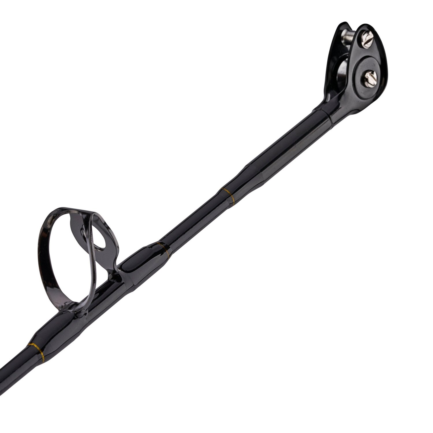 PENN Squall II 60 Lever Drag Combo | Academy