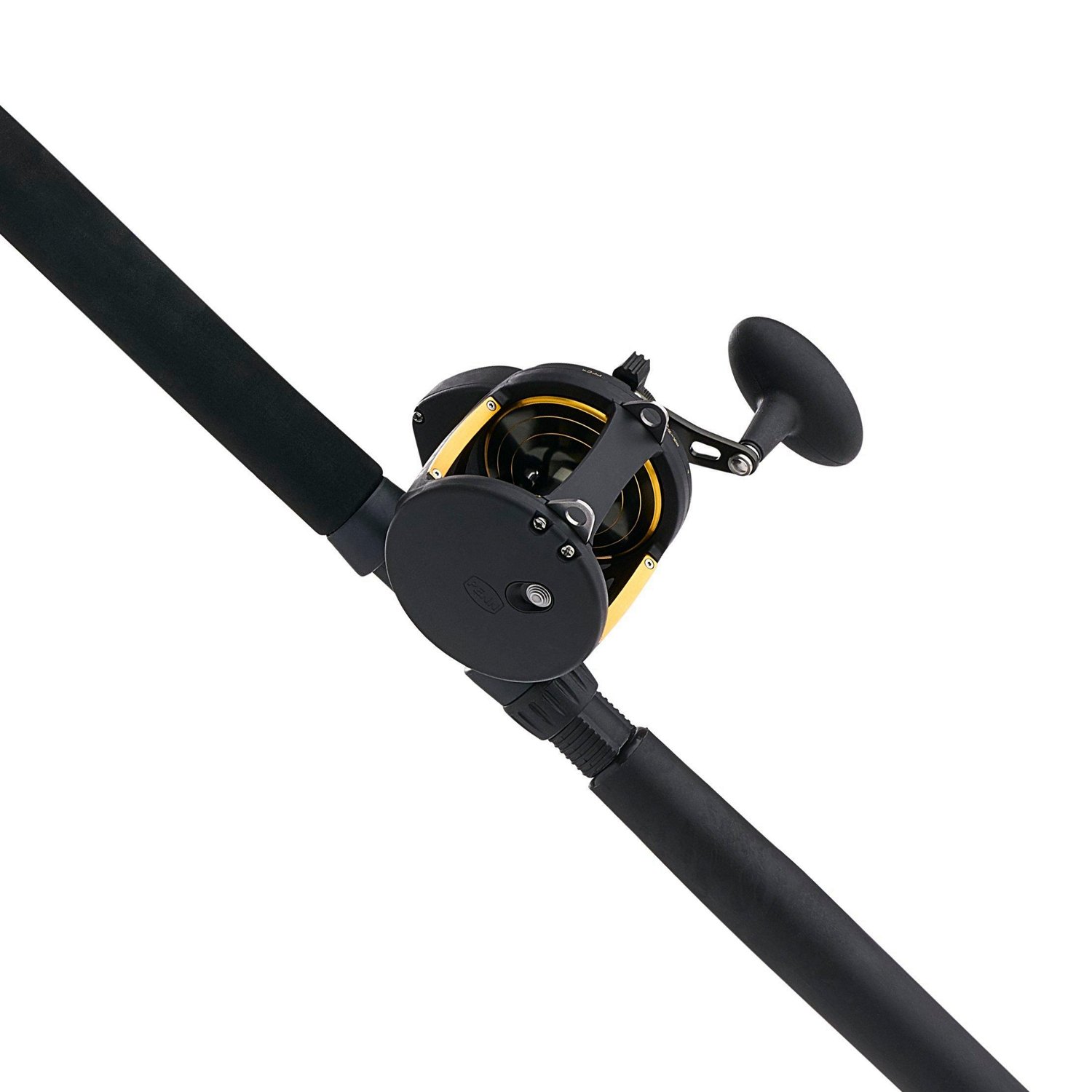 PENN Squall II 60 Lever Drag Combo | Academy