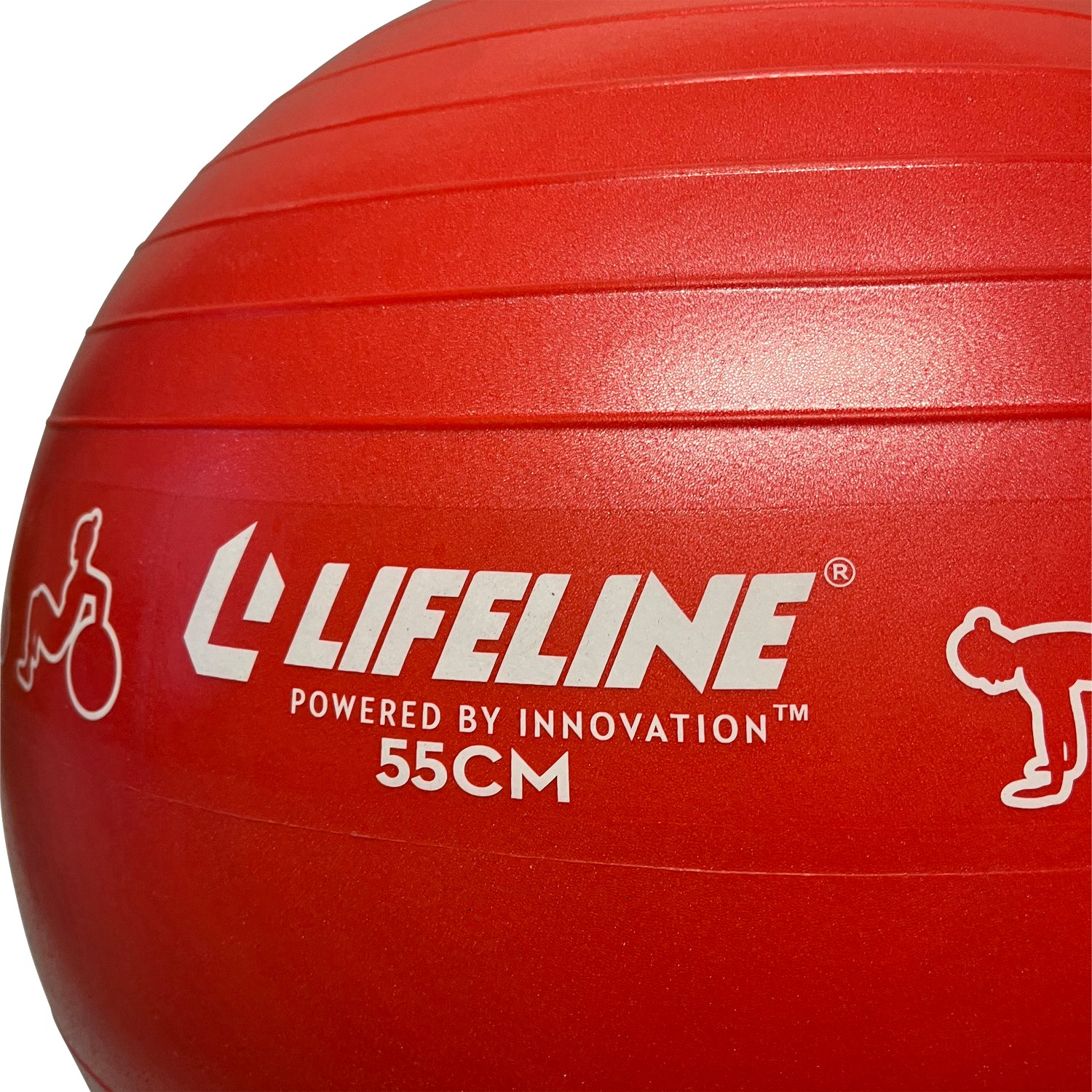 Lifeline 55 cm Exercise Ball | Free Shipping at Academy